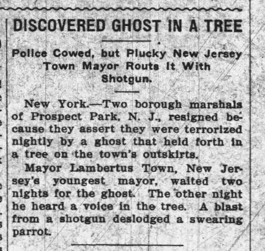 It was a parrot. 🦜 – It Was Not a Ghost